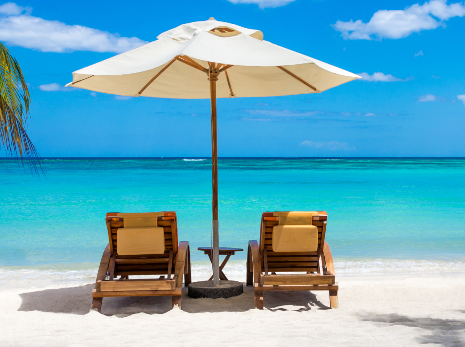 Referral Campaign Thank You | Haven